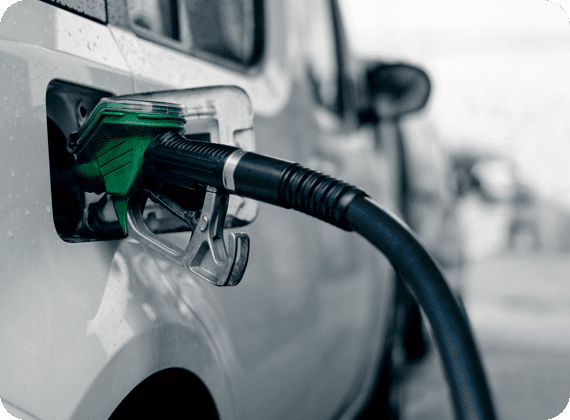 Netstar Speed Assist